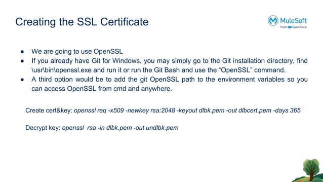 DLB Meetup Mulesoft.pptx