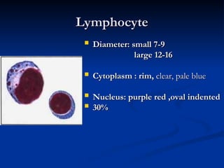 Differential leucocyte count white blood cell | PPT