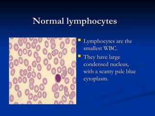 Differential leucocyte count white blood cell | PPT