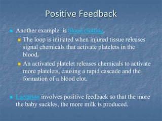 DLC911_Feedback.ppt slides for grade 10 students | PPT