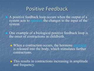 Feedback Mechanisms and Homeostatic Responses | PPT