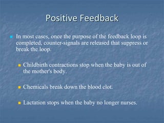 Feedback Mechanisms and Homeostatic Responses | PPT