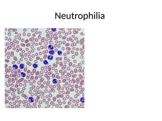 DLC labelled microscope image and key features Presentation_ | PPTX