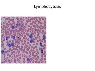 DLC labelled microscope image and key features Presentation_ | PPTX