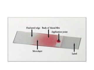 DLC labelled microscope image and key features Presentation_ | PPTX