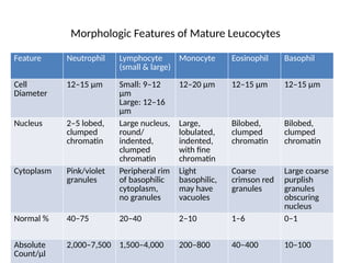 DLC labelled microscope image and key features Presentation_ | PPTX