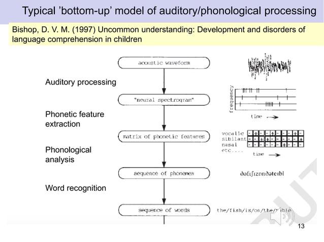 Developmental language disorder and auditory processing disorder: Same ...