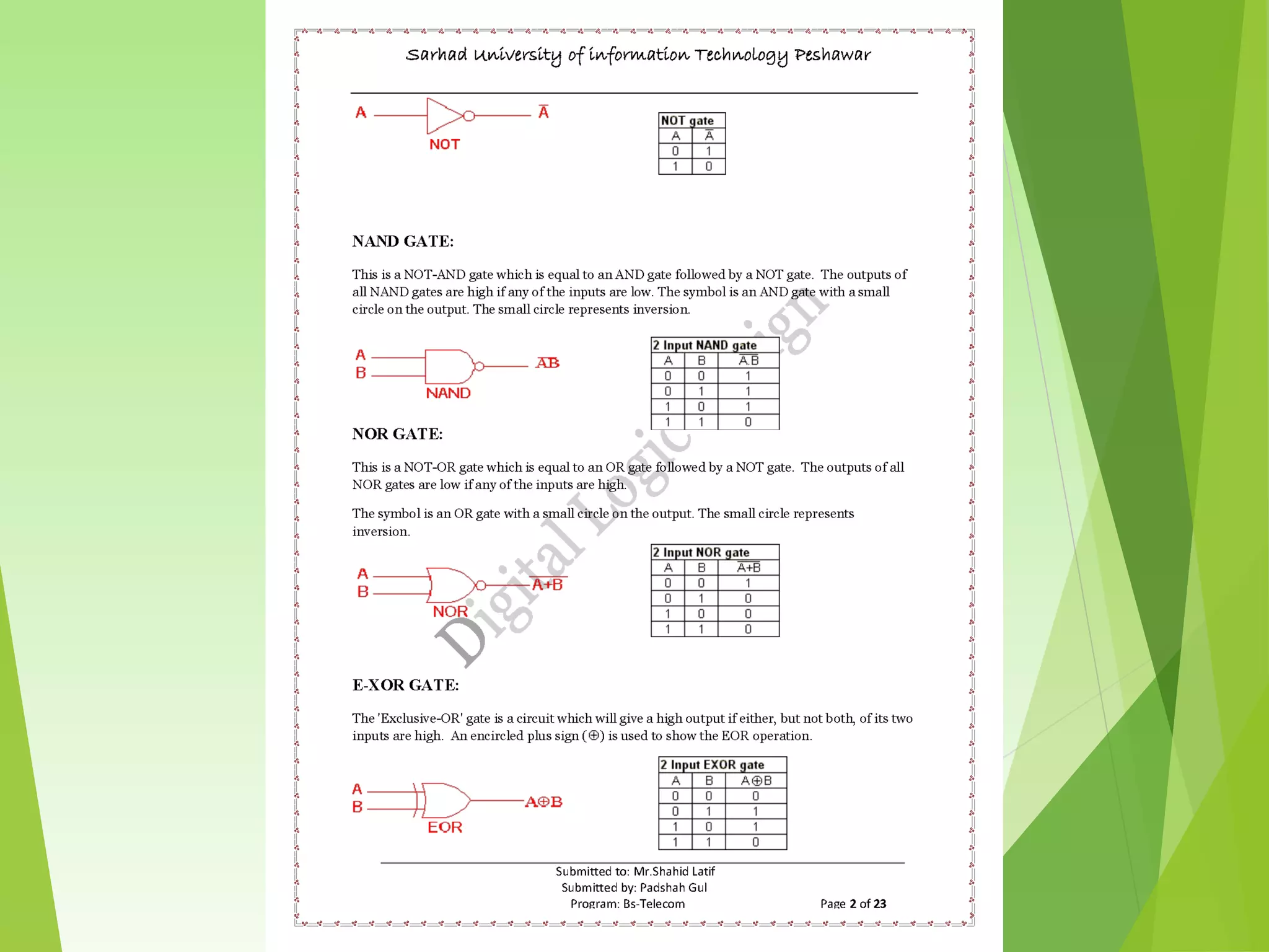 DLD Practical Lab Work | PPT