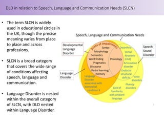 Developmental Language Disorder (DLD): The consensus explained | PPTX