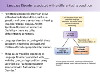 Developmental Language Disorder (DLD): The consensus explained | PPTX