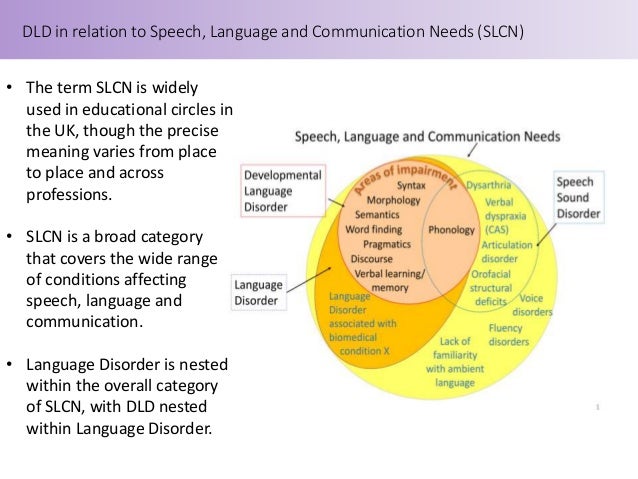 Developmental Language Disorder (DLD): The consensus explained