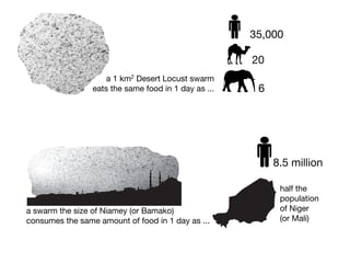 Desert Locust economics: 2003-05 case study | PPT