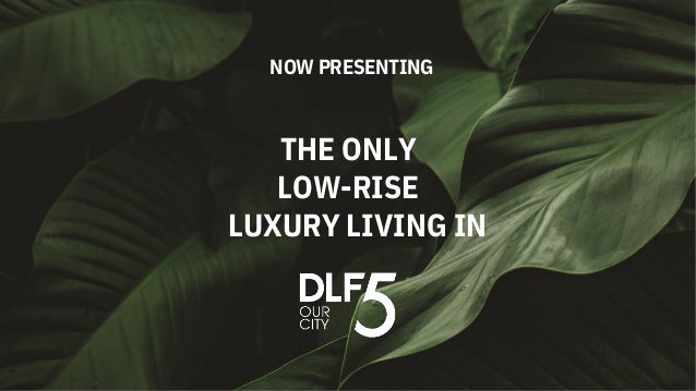 DLF The Grove At Gurugram - Download Brochure | PDF