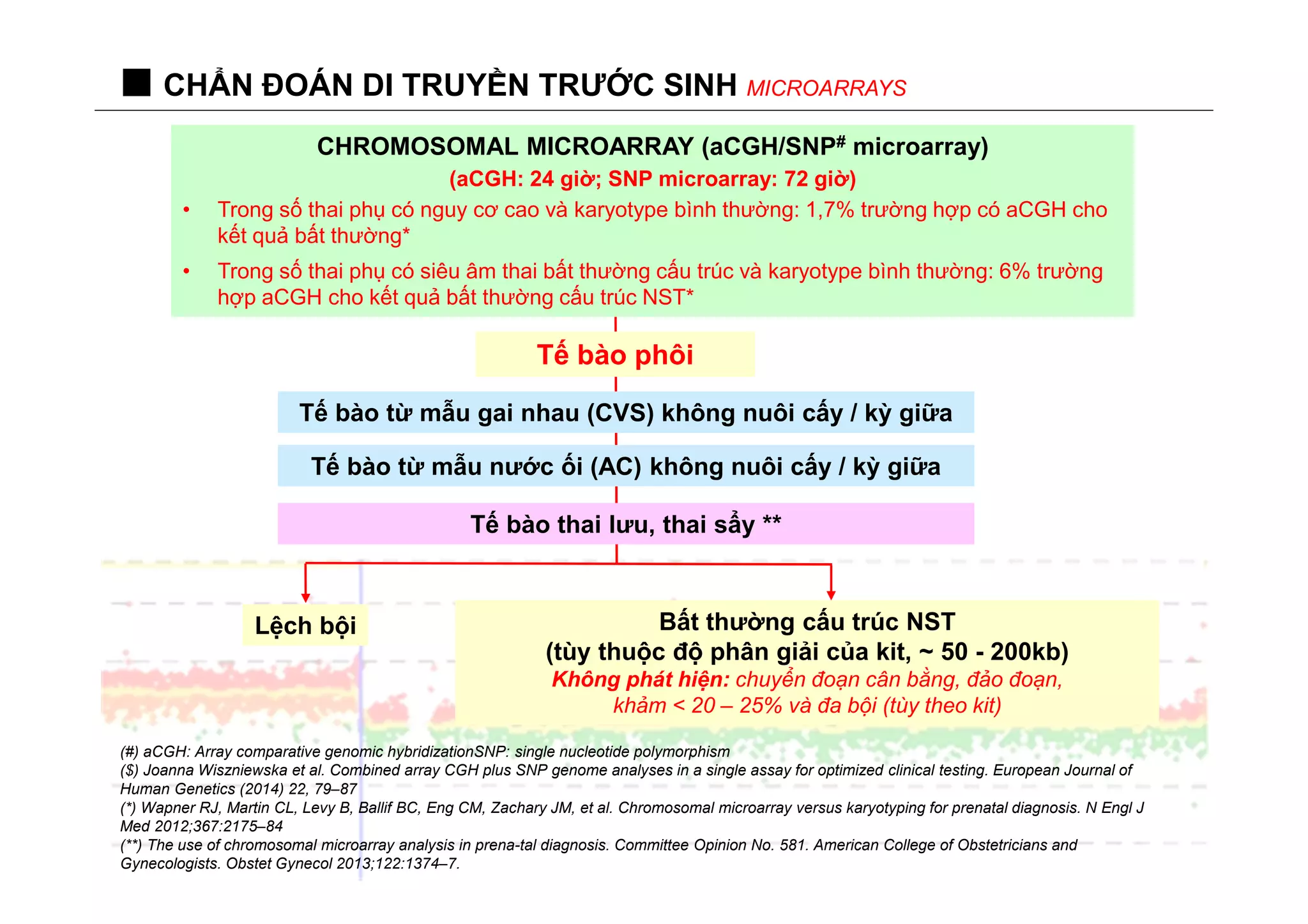 TỔNG QUAN CHẨN ĐOÁN TRƯỚC SINH BẤT THƯỜNG NHIỄM SẮC THỂ TẠI VIỆT NAM | PDF