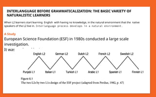 Learner Language / Development Learner Language/ Eiram Amjed | PPTX
