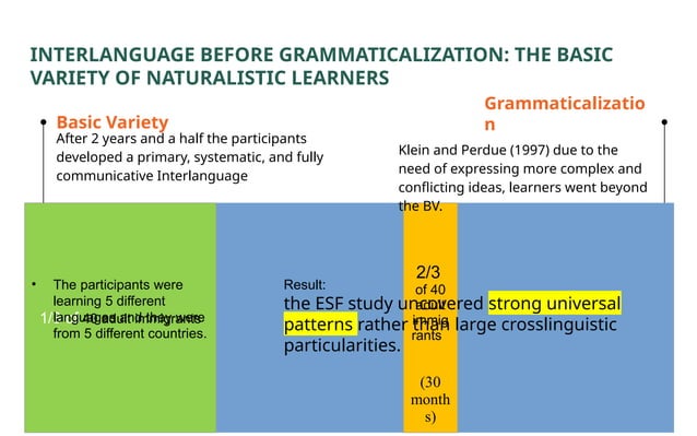 Learner Language / Development Learner Language/ Eiram Amjed | PPT