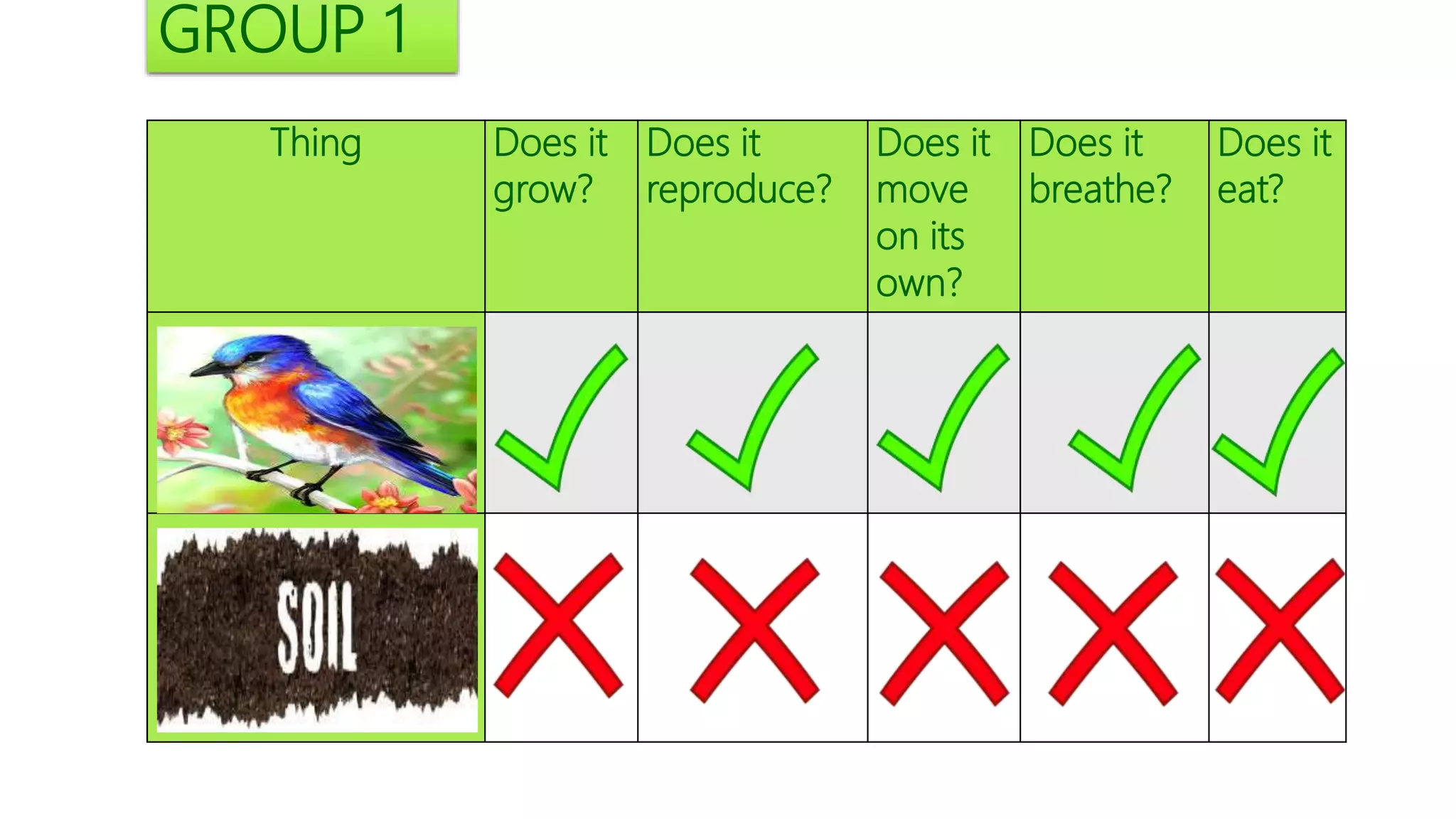 DLL-LS2 LIVING AND NON-LIVING THINGS PPT (1).pptx