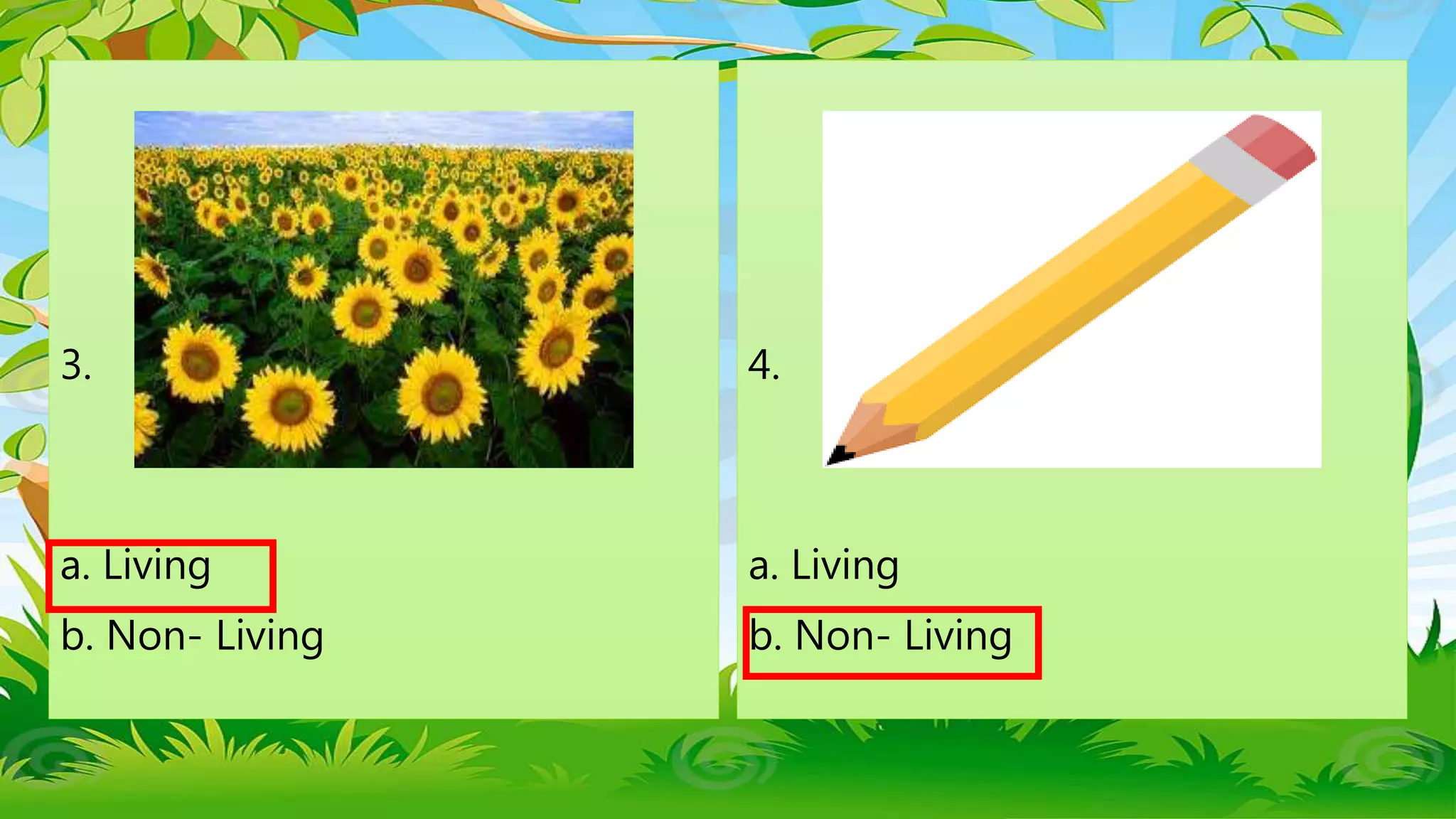 DLL-LS2 LIVING AND NON-LIVING THINGS PPT (1).pptx