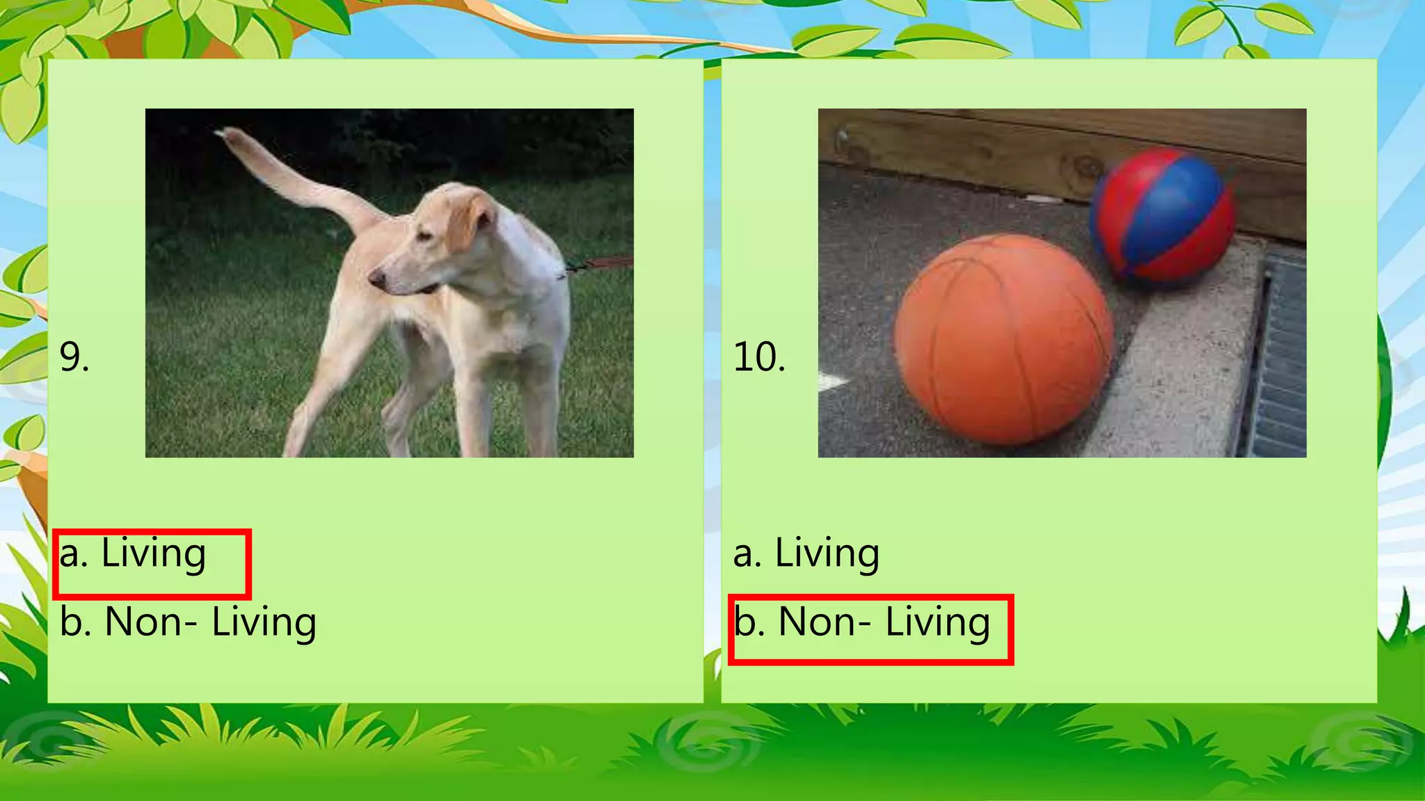 DLL-LS2 LIVING AND NON-LIVING THINGS PPT (1).pptx