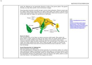DLL MATATAG _SCIENCE 7 Q2 W5 (6661).docx