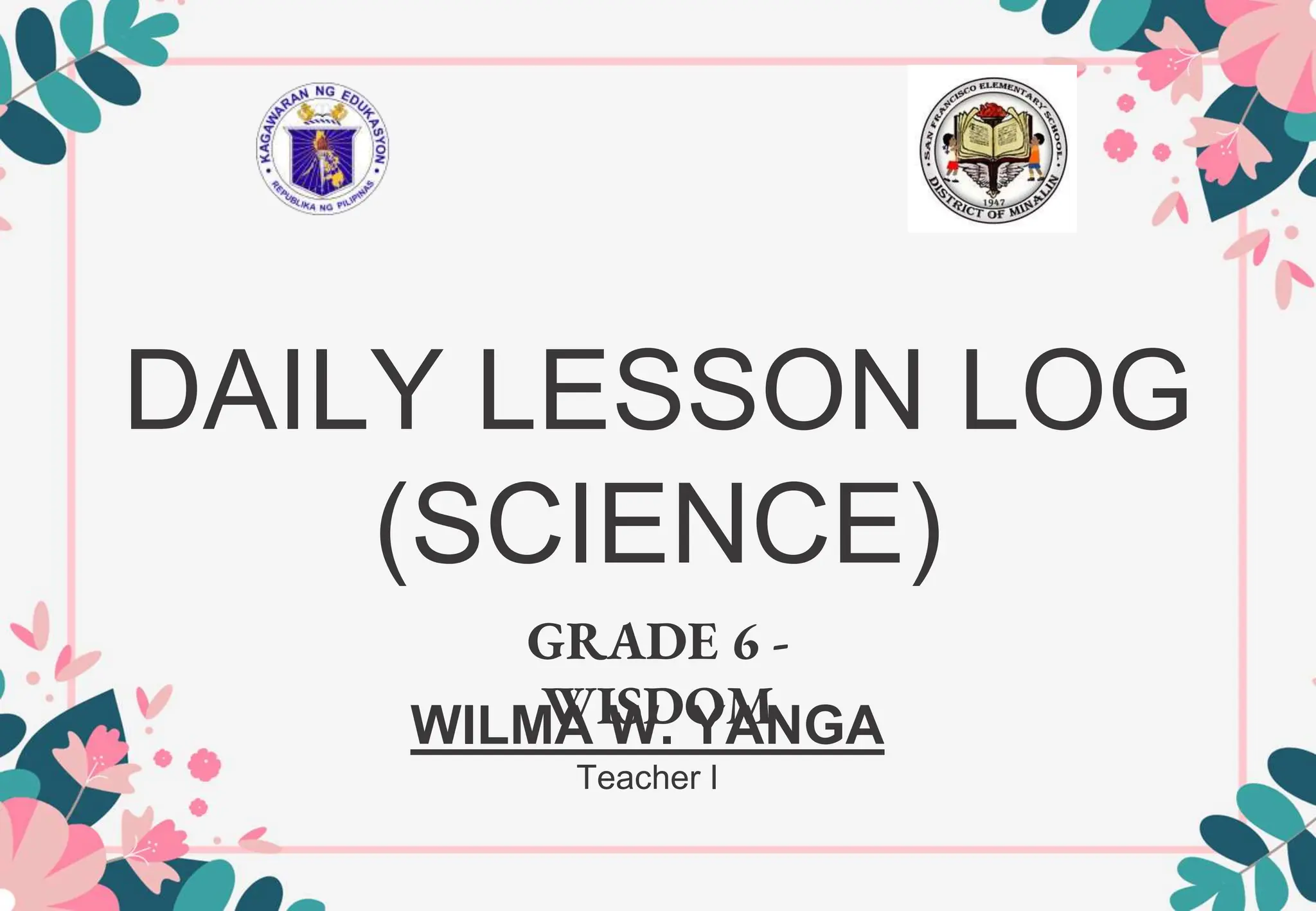 Daily lesson log sample cover only. pptx | PPTX