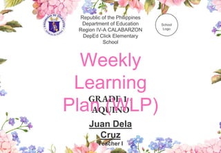 Daily lesson log sample cover only. pptx | PPTX