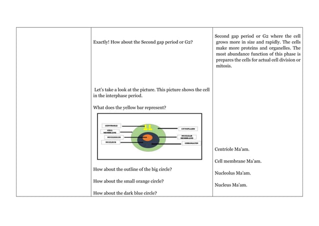 Detailed lesson plan- CELL CYCLE. DELA CRUZ, IRISH | DOCX