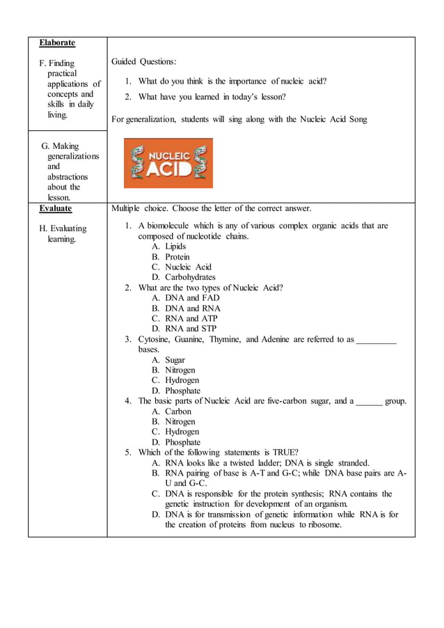 Daily Lesson Plan in Science 10 (Nucleic Acid) | DOCX | Biological ...