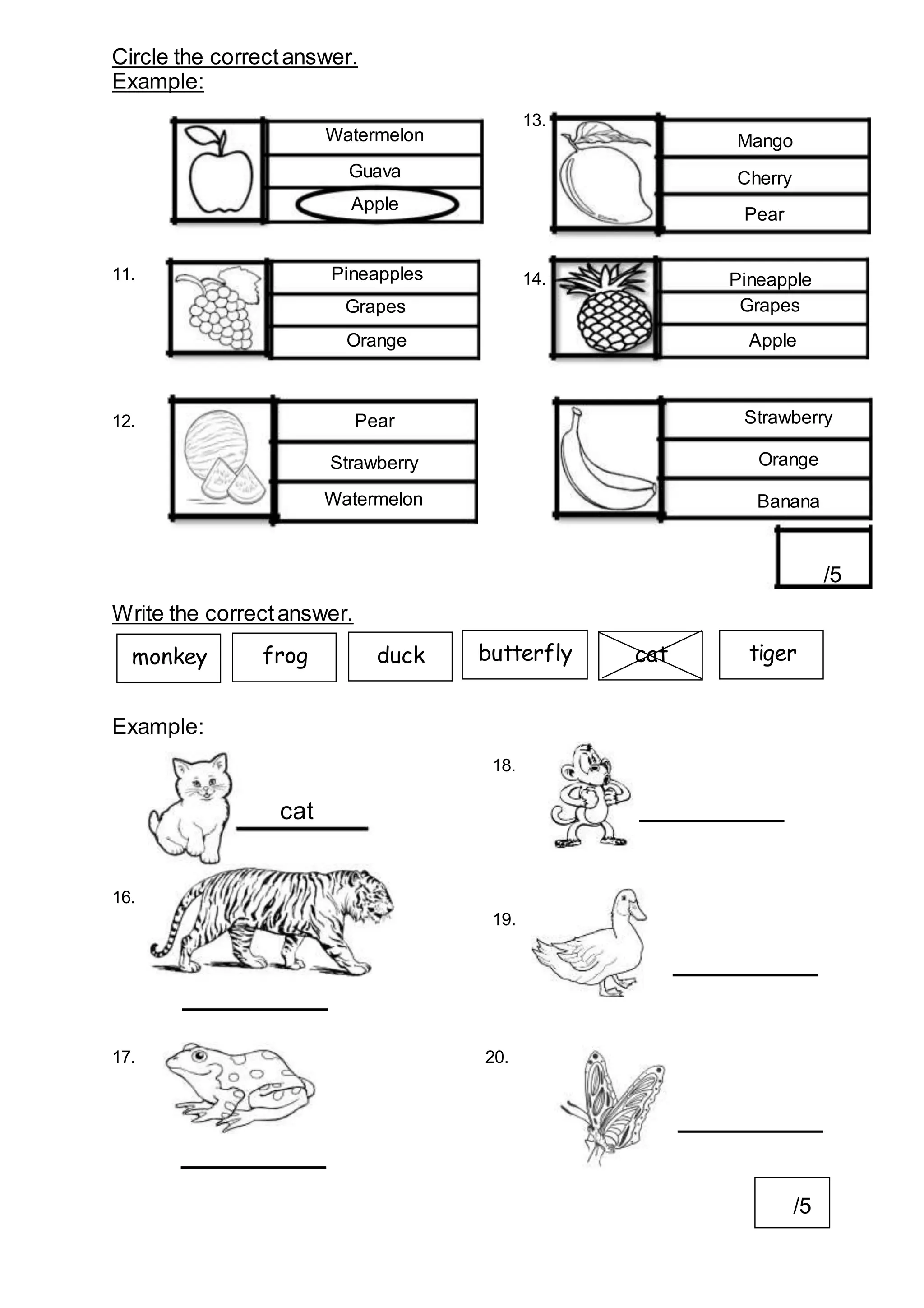 dlp placement test 2022.doc