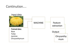 Visualization of Deep Learning | PPTX