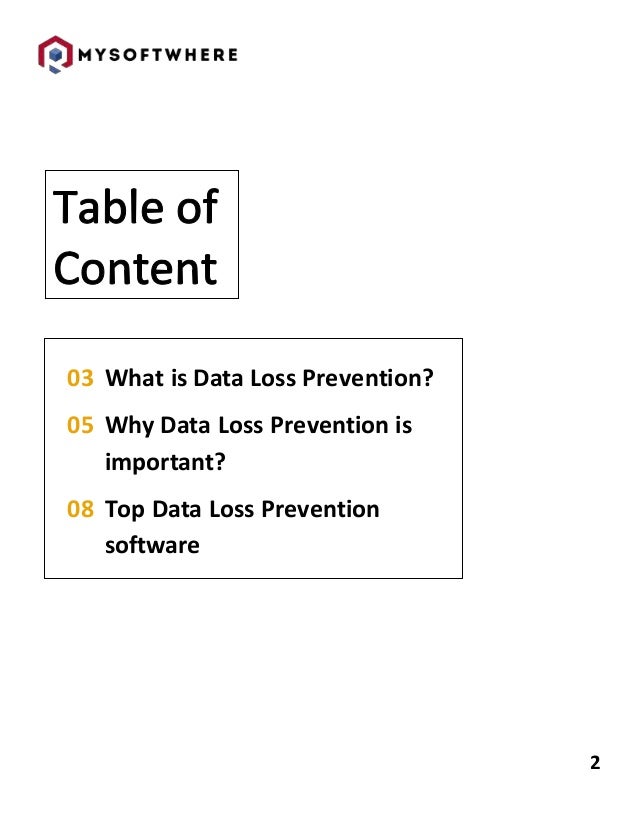 DLP report.docx | Free Download