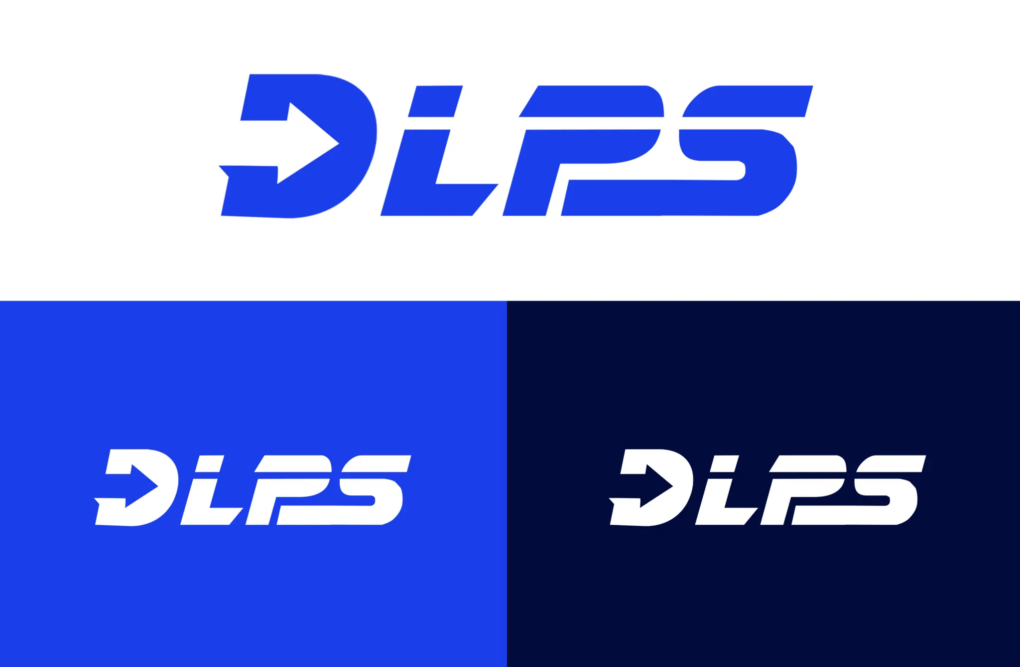 DLPS LOGO AND BRAND IDENTITY (logo, typeface, color, and visuals)) | PDF