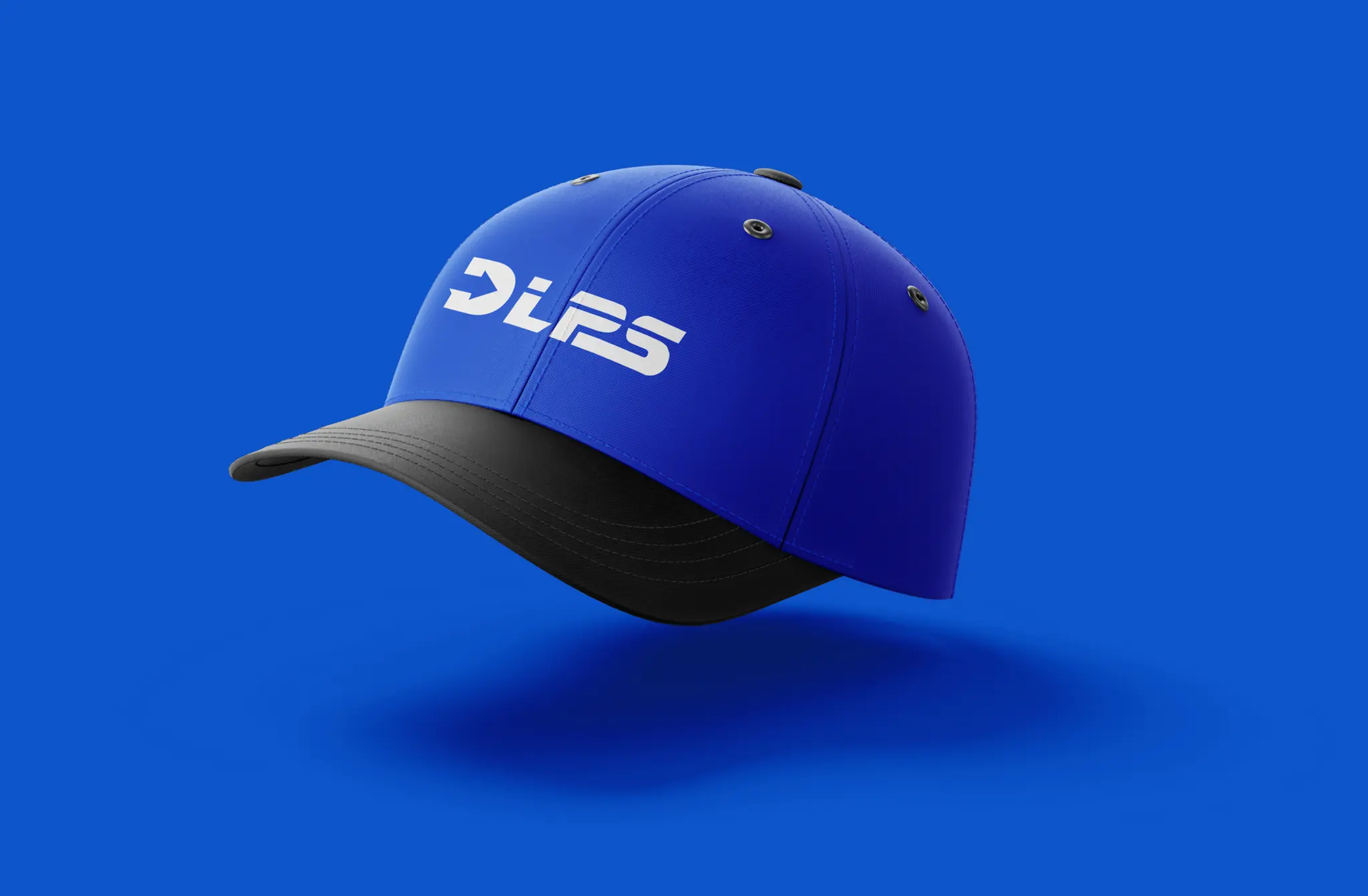 DLPS LOGO AND BRAND IDENTITY (logo, typeface, color, and visuals)) | PDF