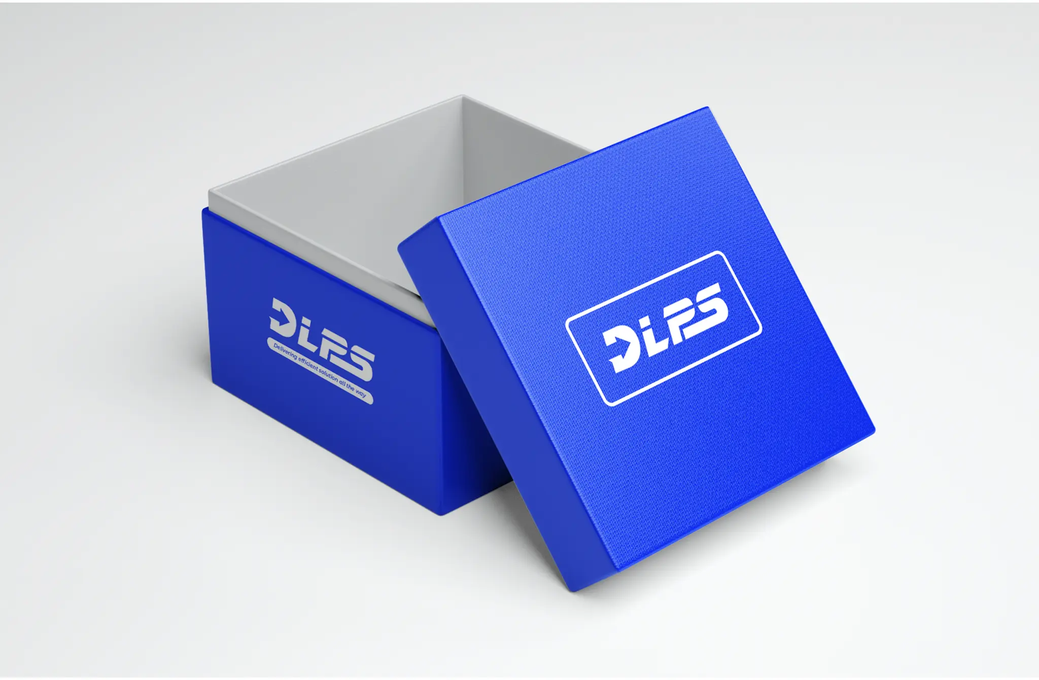DLPS LOGO AND BRAND IDENTITY (logo, typeface, color, and visuals)) | PDF