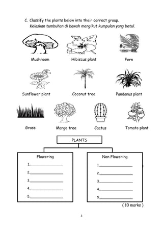 DLP SCIENCE year 3.docx