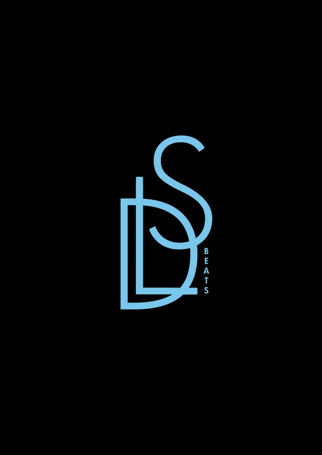 DLS Beats Brochure 2013 | PDF | Hip Hop Music | Music