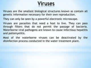 Water Quality | PDF