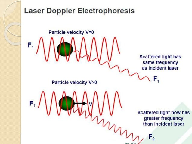 Dynamic_Light_Scattering_principle_and_application.pptx | Chemistry ...
