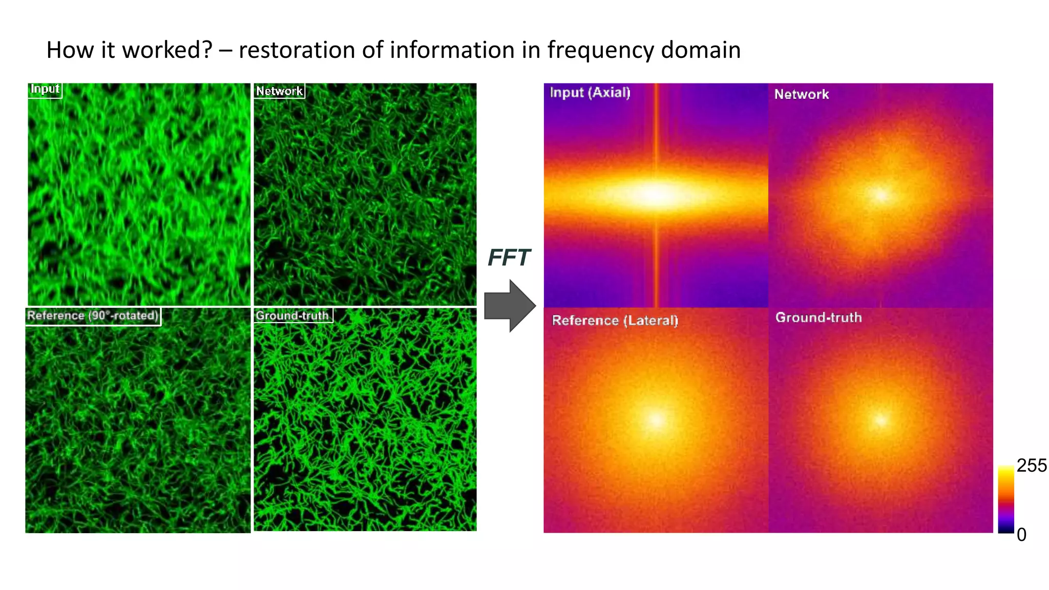 Deep learning enables reference-free isotropic super-resolution for ...