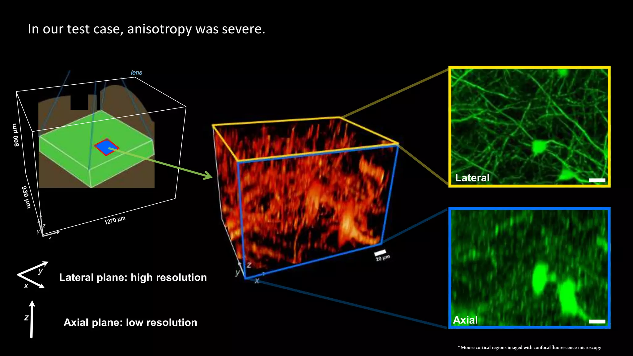 Deep learning enables reference-free isotropic super-resolution for volumetric fluorescence ...