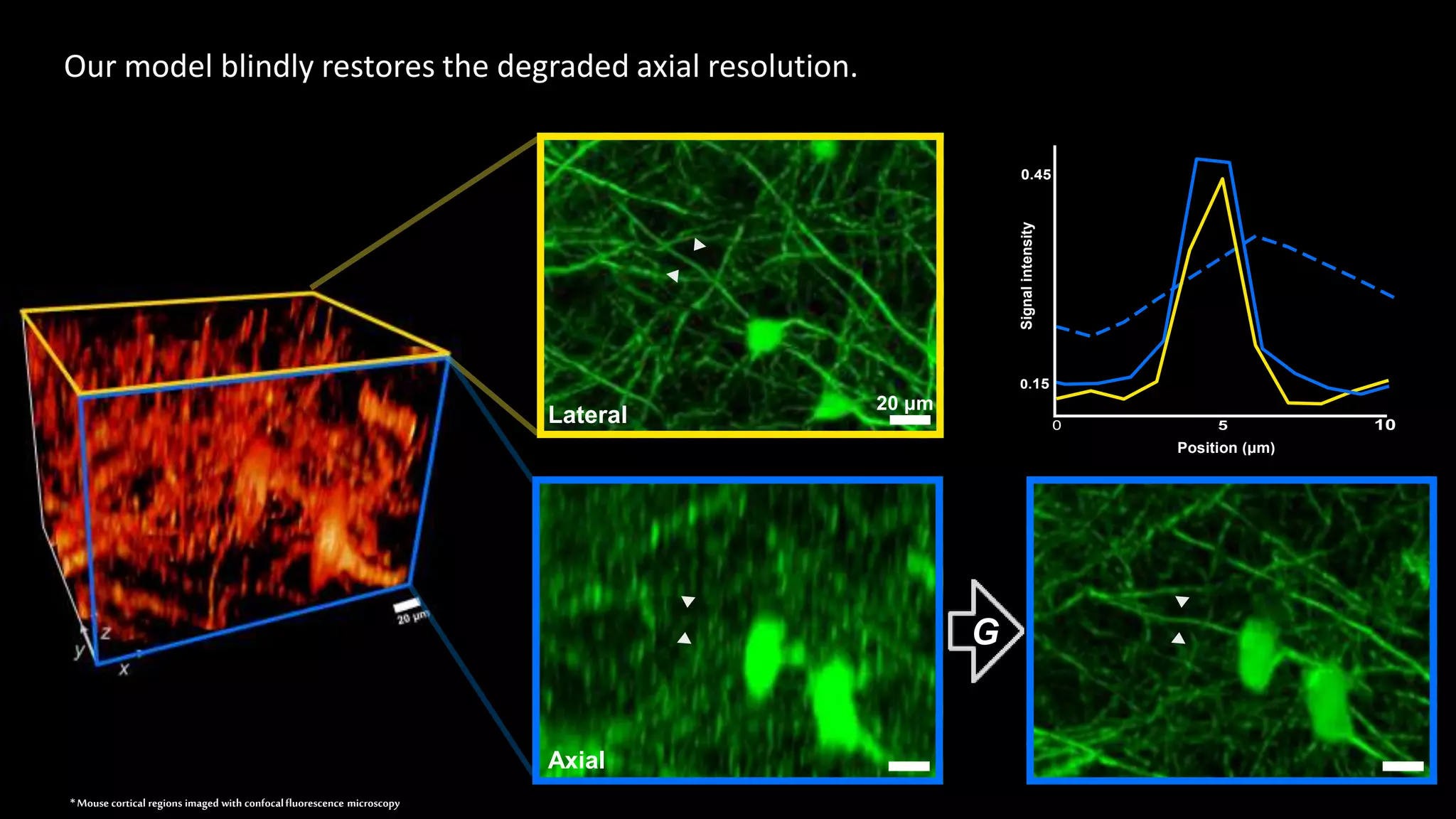Deep learning enables reference-free isotropic super-resolution for ...