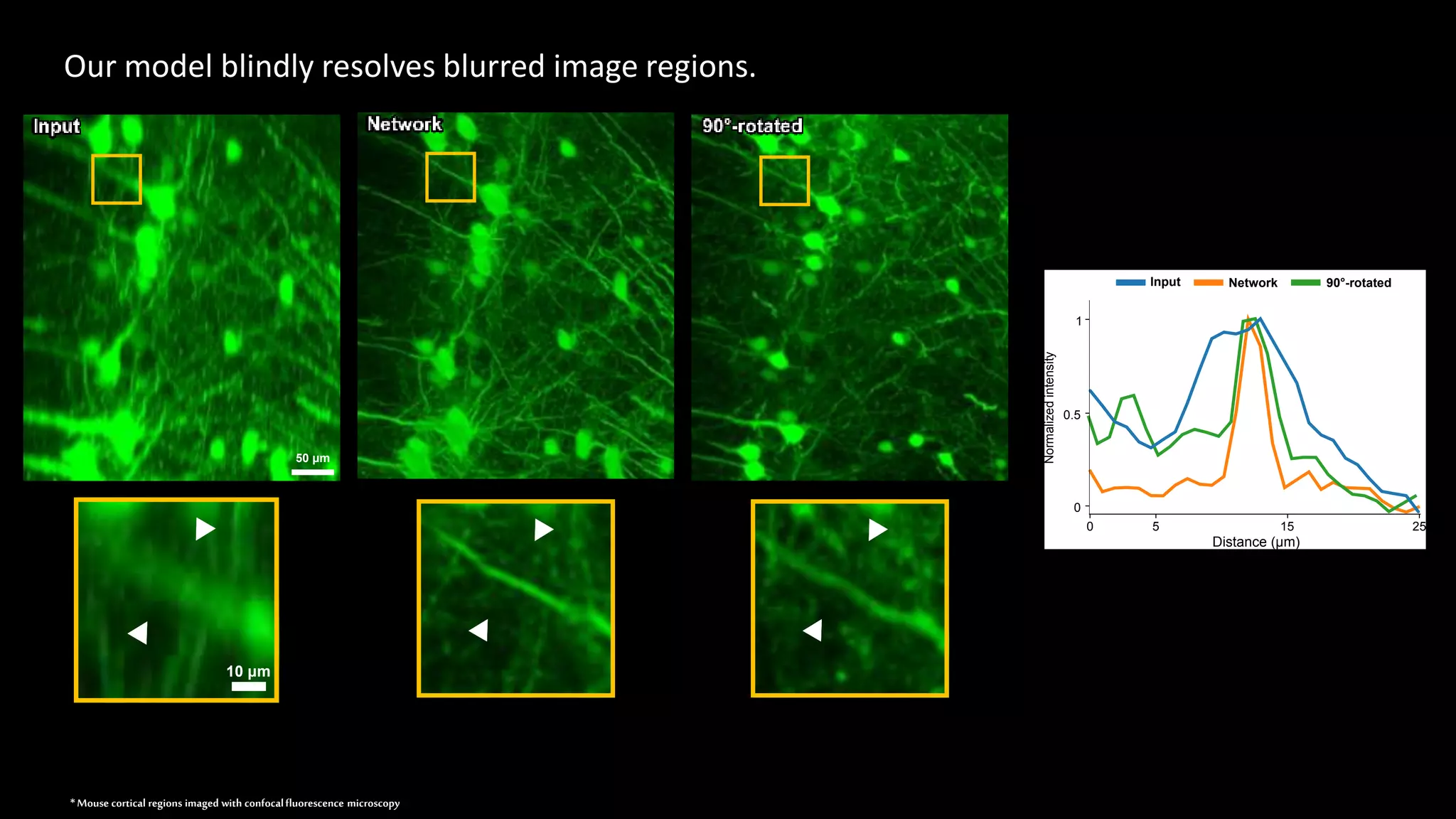 Deep Learning Enables Reference Free Isotropic Super Resolution For