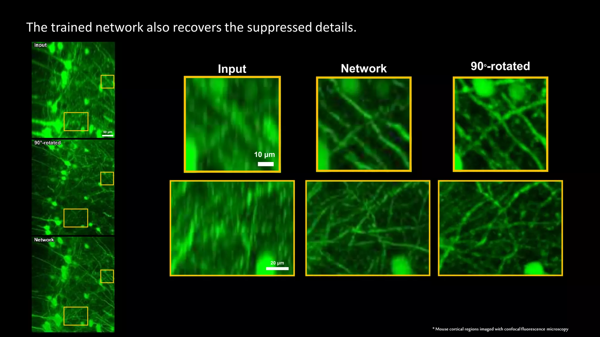 Deep learning enables reference-free isotropic super-resolution for ...