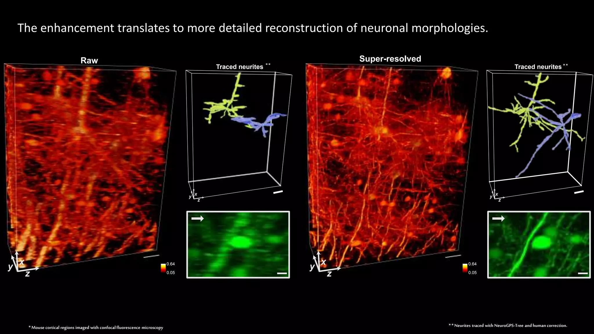 Deep Learning Enables Reference Free Isotropic Super Resolution For