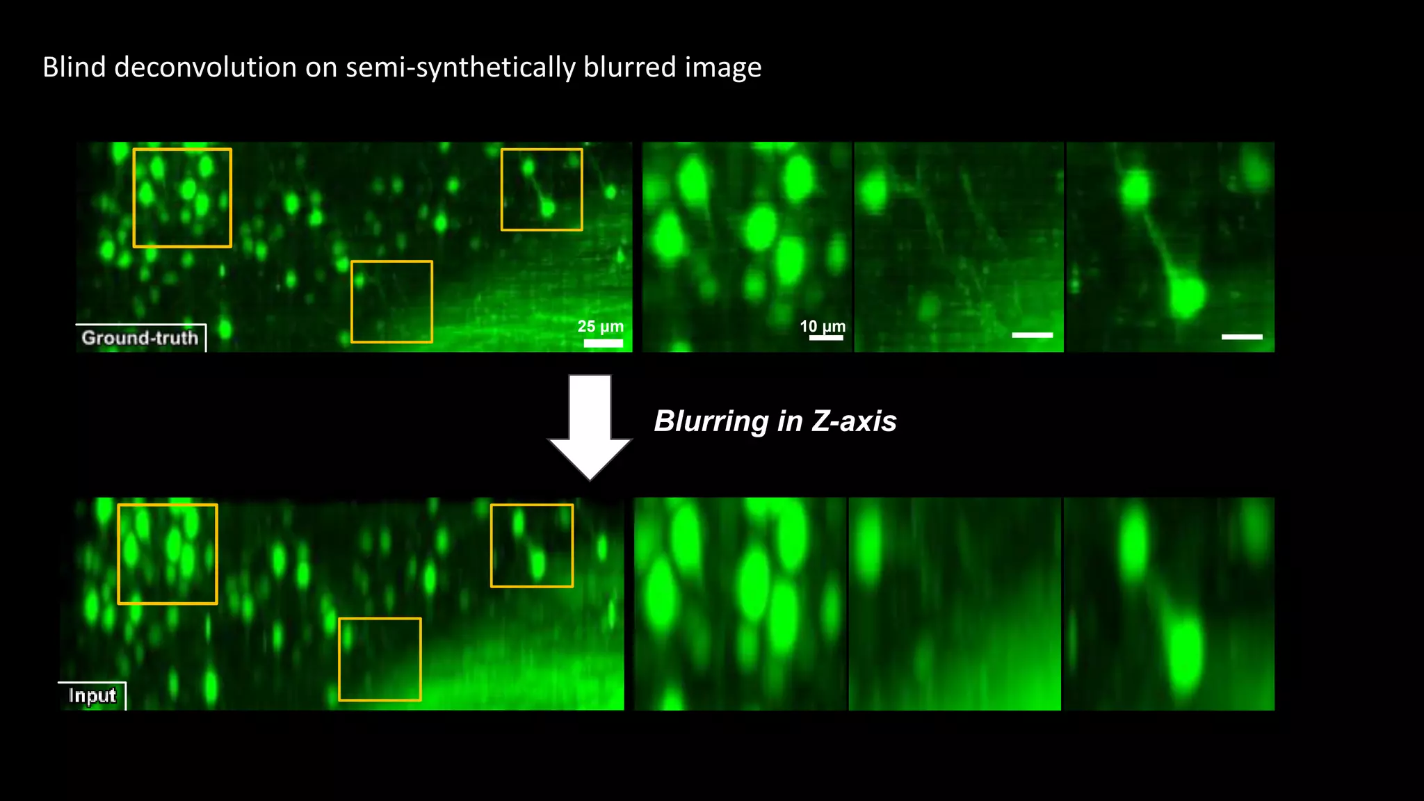 Deep learning enables reference-free isotropic super-resolution for ...