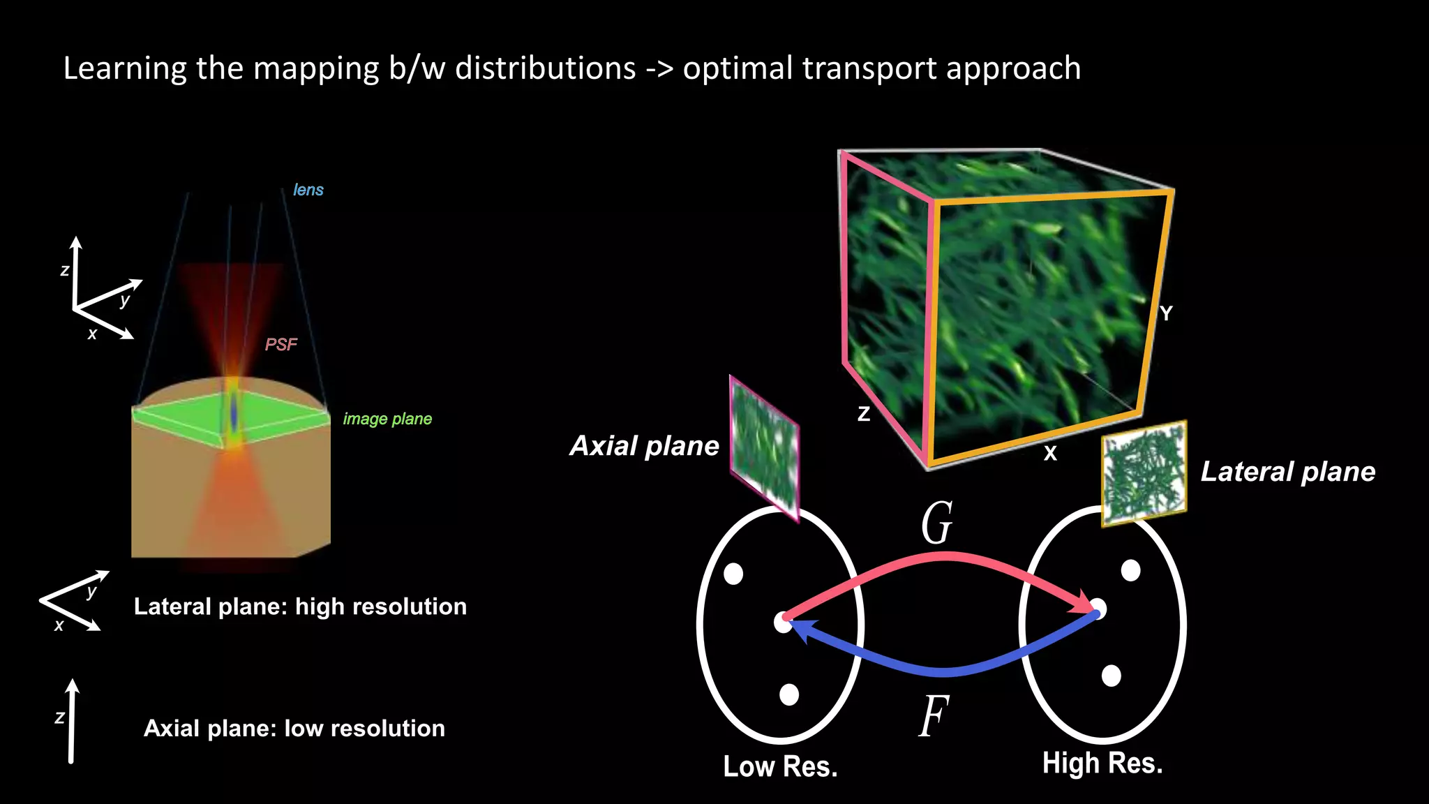 Deep learning enables reference-free isotropic super-resolution for volumetric fluorescence ...