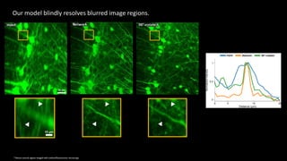 Deep learning enables reference-free isotropic super-resolution for ...