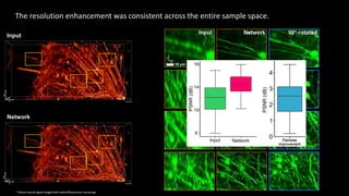Deep learning enables reference-free isotropic super-resolution for ...