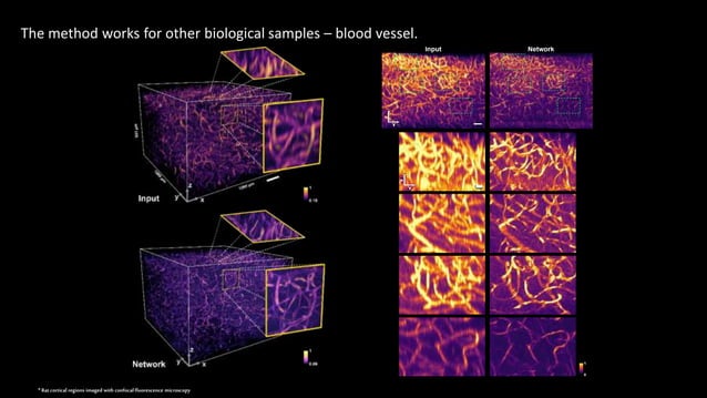 Deep learning enables reference-free isotropic super-resolution for ...