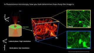Deep learning enables reference-free isotropic super-resolution for ...